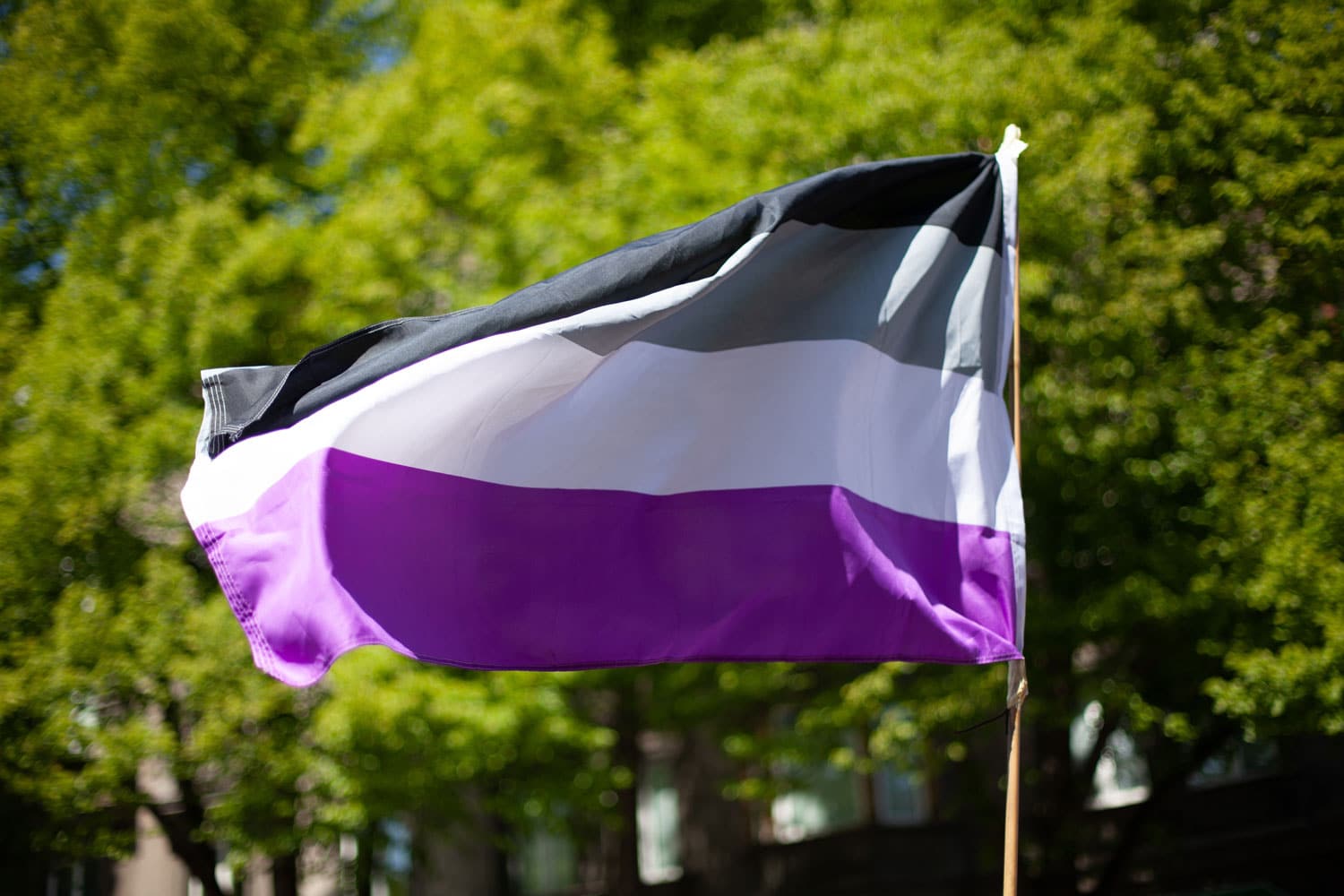 Asexuality – Everything You Need to Know